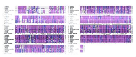 Multiple Sequence Alignment Of Piwi1 Proteins The Paz And Piwi