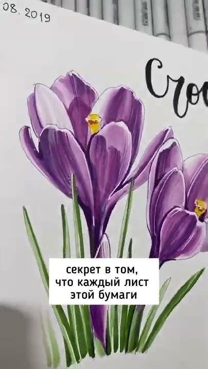 Двусторонняя бумага для спиртовых маркеров 🖍 - YouTube