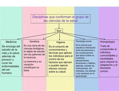 Mapa Conceptual Disciplinas Que Conforman En Grupo De Las Ciencias