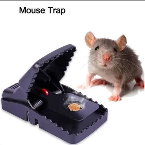 Mouse Artifact Continuous Clip Clip To Send Home To Catch The Mouse
