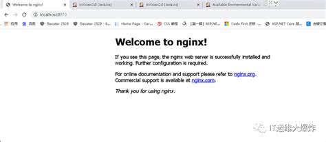 Nginx搭建web服务进行文件传输 墨天轮