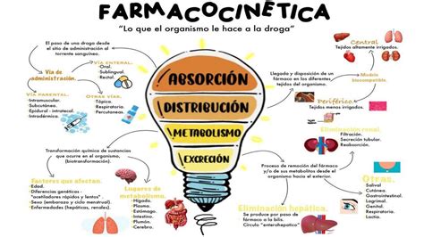 Farmacocinética Mapa Mental Actualidades En Enfermería Udocz