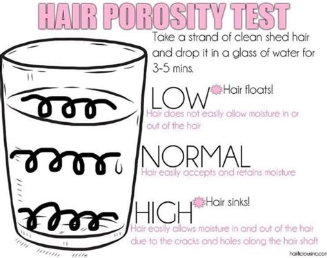 4 Easy Hair Porosity Tests To Determine Your Hair Porosity Artofit