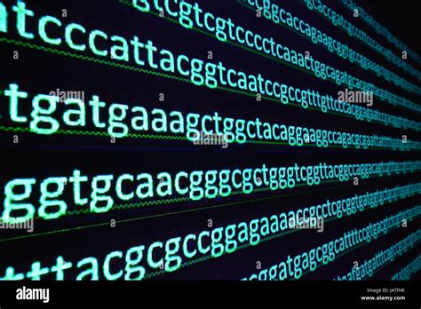 Sequencing The Gene Sequence Of Nucleotide Bases In The Decoded DNA Molecule Stock Photo Alamy