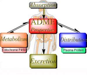 Figure Showing The Interplay Between Absorption Distribution