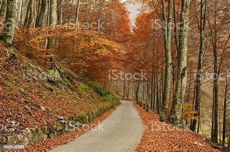 Paceful Road 통해 색상화 추절 임산 있는 이탈리어어 알프스 10월에 대한 스톡 사진 및 기타 이미지 10월 11