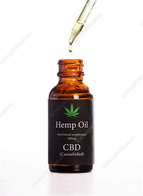 Hemp Oil Containing CBD Cannabidiol Stock Image C042 1697 Science Photo Library