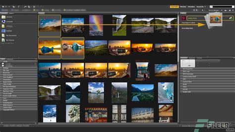 Adobe Bridge 2025 V15 0 For Macos Full Version Filecr
