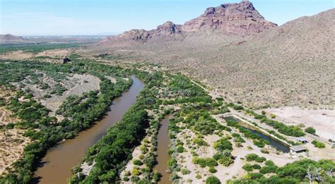Wild Horses At Phon D Sutton Top Places To See In Arizona