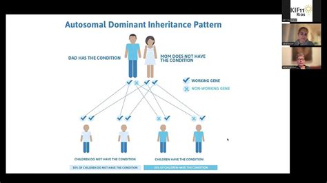 Kif11 And Geneticsc Youtube