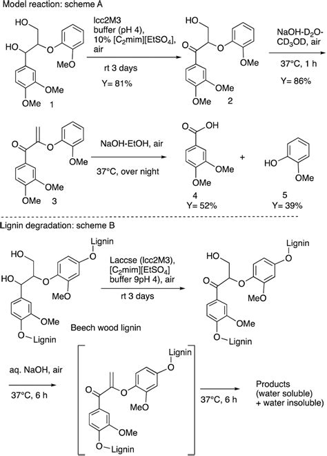 Advancing Laccase Catalysed Depolymerisation Of Lignocellulosic Biomass