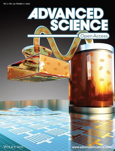 Bioinspired Dna Nanointerface With Anisotropic Aptamers For Accurate