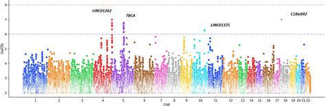 Manhattan Plot Showing Genome Wide Association Results Conferring