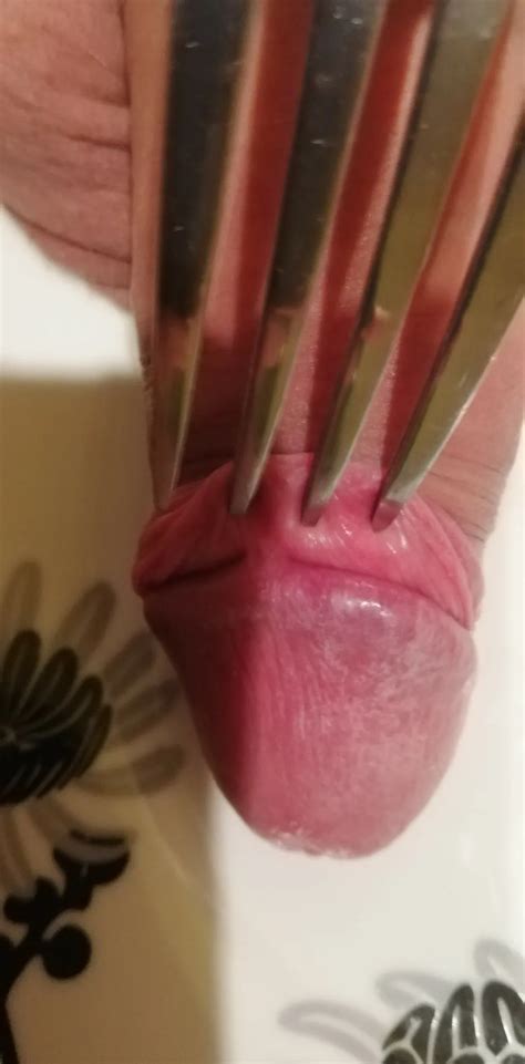 Food Adventure Nude Pics XHamster