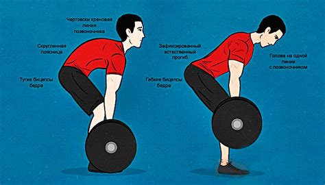 Тренировка спины как накачать широкую спину в тренажерном зале