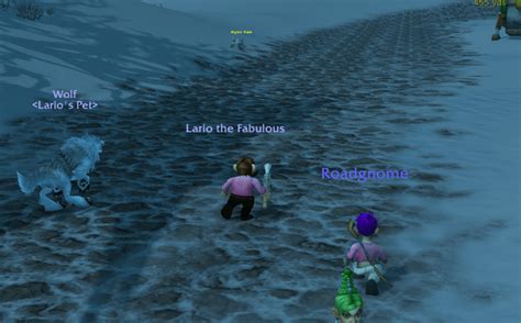 Who Is Doing Gnomer Run Rwow
