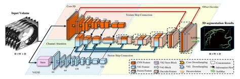 Vig3d Unet Volumetric Vascular Connectivity Aware Segmentation Via 3d Vision Graph Vig3d Unet Volumetric Vascular Connectivity Aware Segmentation Via 3d Vision Graph
