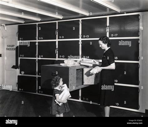 Freezer Lockers Offer A Convenient Solution For Storing Perishable Goods In Both Personal And