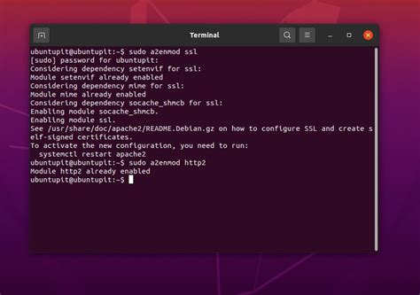C Mo Habilitar En Apache En Un Sistema Linux Redessy