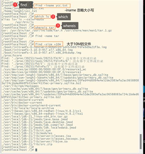Linux常用指令 L0ngyc 博客园