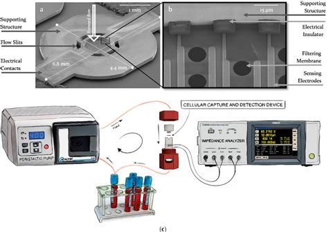 figure 1 from bio impedance spectroscopy of retained cells using a