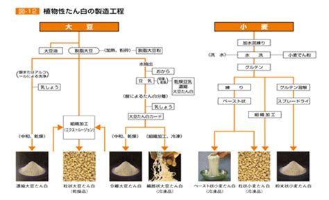 植物油information