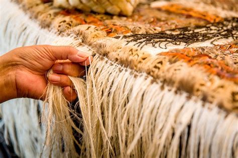 Rotorua Highlights Incluidng Te Puia And Wai O Tapu