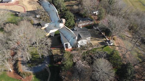 Random Drone Shot Of A Hawk Attacking My Drone R Pics