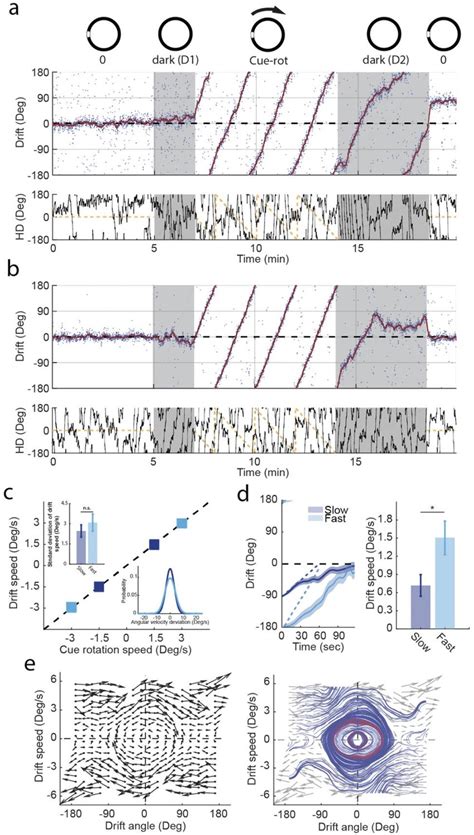 Optic Flow Calibrates Head Direction Integration A Example Population
