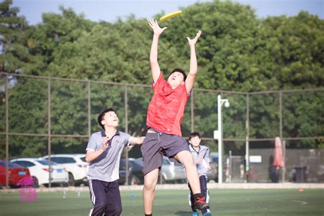 2017年深圳市中小学极限飞盘邀请赛落幕 深圳市飞盘运动协会