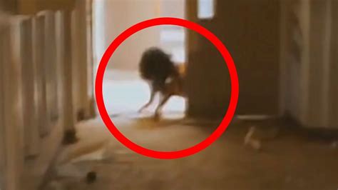 5 Scariest Creatures Caught On Camera Spotted In Real Life YouTube