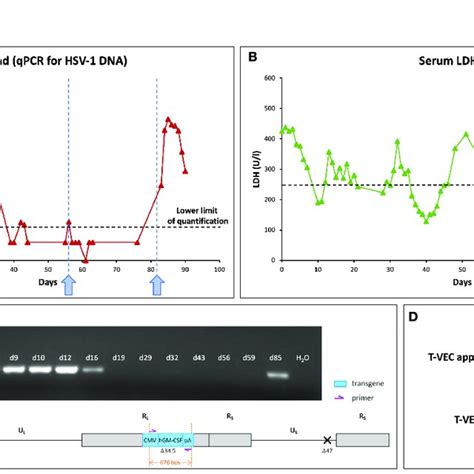Lars Zenders Research Works University Of Tuebingen Tübingen Eku