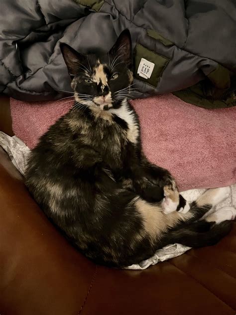 Kiki Wants To Show You Her Smize” Rtortico