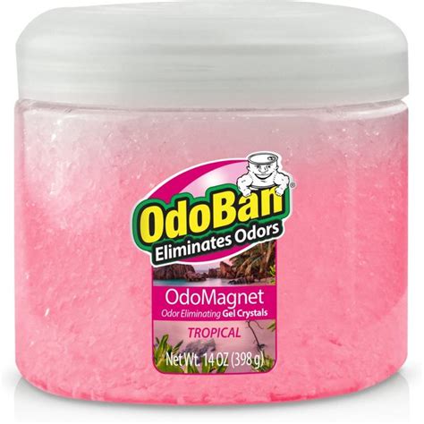 Odoban Solid Odor Absorber Citrus Deodorizer 14 Oz Jar