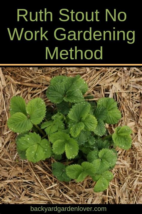 Ruth Stout Gardening Method