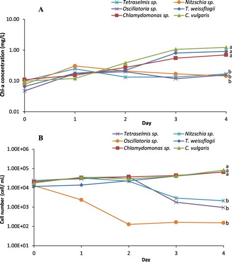 A Semi Logarithmic Growth Indicated By Chorophyll A Concentration And Download Scientific