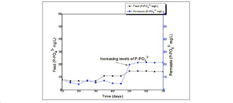 Concentration Of Phosphate P Po 4 ³ In Feed And Permeate During The Download Scientific