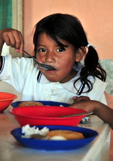 A Latin American Perspective On Food Health And The Environment