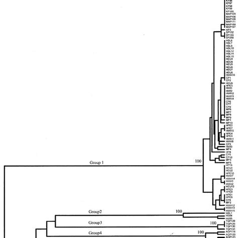Phenogram Generated By The Unweighted Pair Group Method With Arithmetic