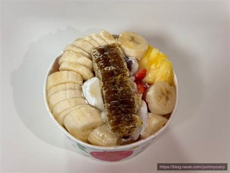 요거트 아이스크림의 정석 요아정 뜻 강민경 꿀조합 추천 메뉴 토핑 초코쉘 칼로리 네이버 블로그