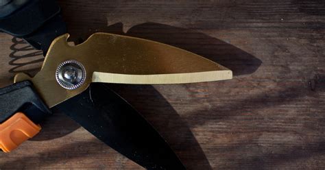 Fiskars ShopBoss Meet The Most Badass Scissors We Ve Ever Seen WIRED