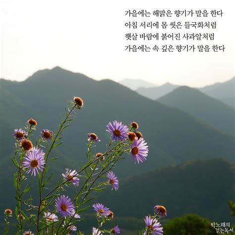 가을에는 해맑은 향기가 네이버 포스트