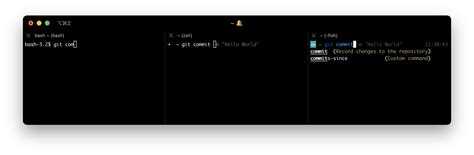 Customizing My Shell From Bash To Zsh To Fish Markus Dosch