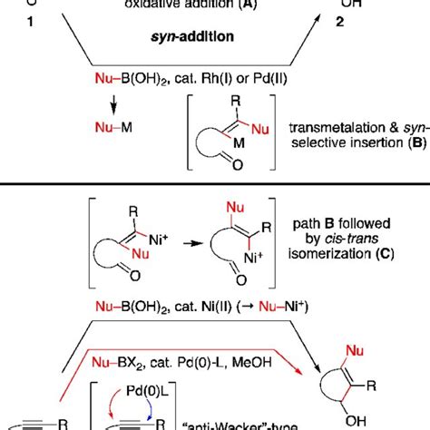 Scheme 1 Transition Metal Catalyzed Alkylative And Arylative