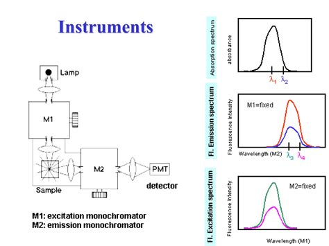Fluorescence Spectroscopy Introductionppt