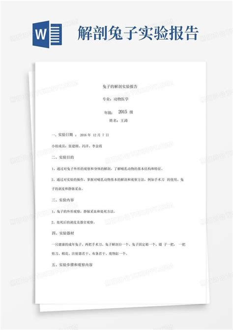 兔子解剖实验报告Word模板下载 编号qydxppym 熊猫办公