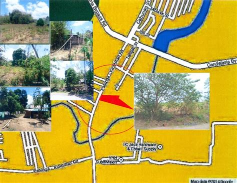 Foreclosed Land For Sale In Arayat Pampanga By Pdic Code 1 0000 000001077