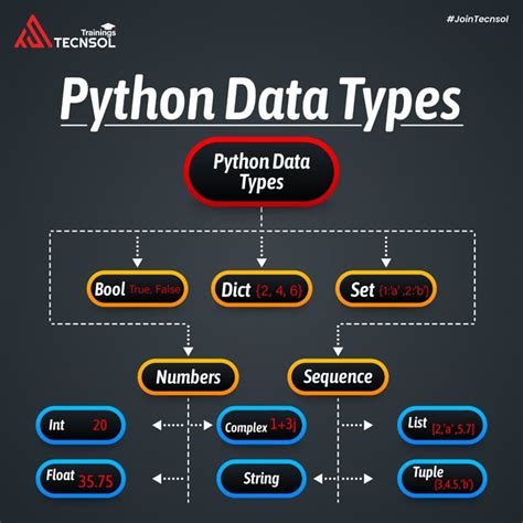 Python Data Types Types Of Data In 2024 Computer Science Programming