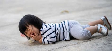 Tenga Object Detection Dataset By Nguyen Thien Dao