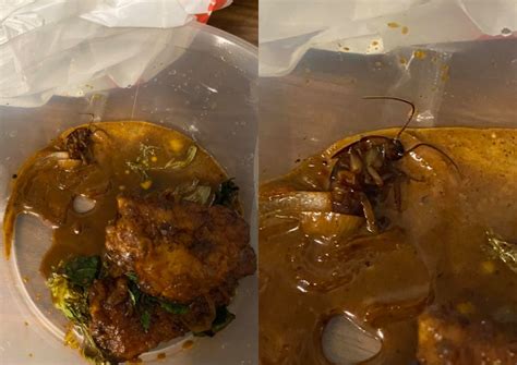 Wrong Order Netizen Finds A Cockroach In His Meal After Getting The Incorrect Dish Delivered